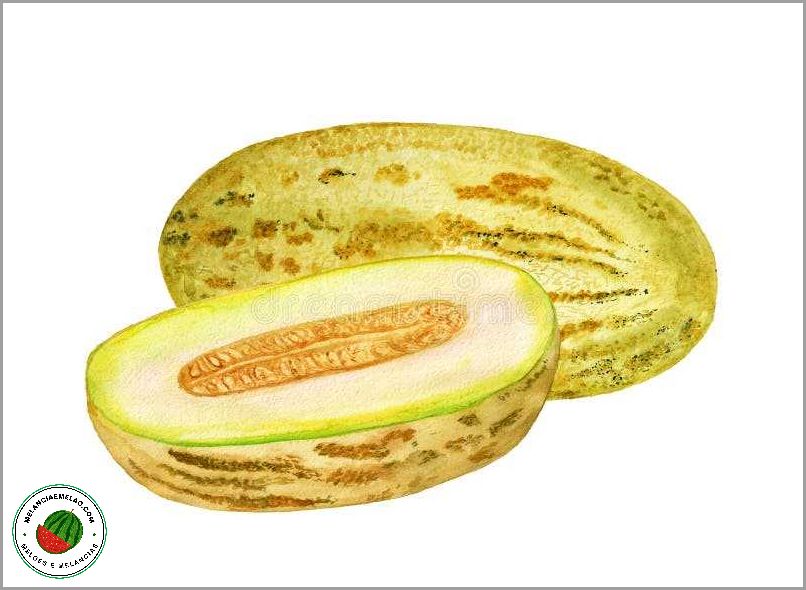 Figurad de melao sem pintar - setembro 2025 - MelanciaeMelao.com